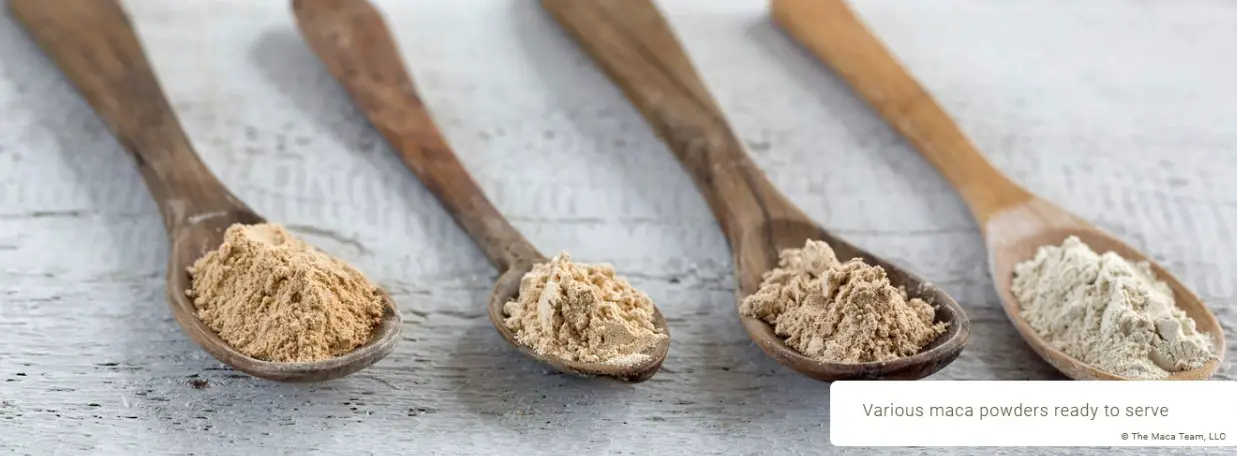 Where To Find Maca Root Powder In Grocery Store? - Fast Food Justice